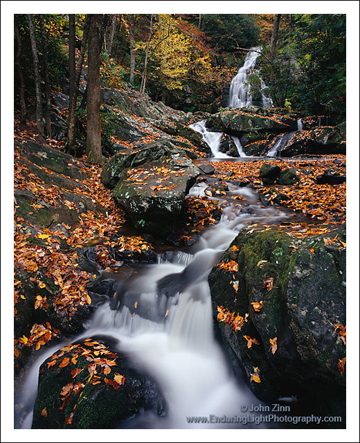 Enduring Light Photography ..... by John Zinn "Spruce Flats Fall"